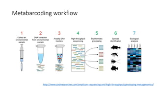 Metabarcoding QIIME2 workshop - Denoise | PDF