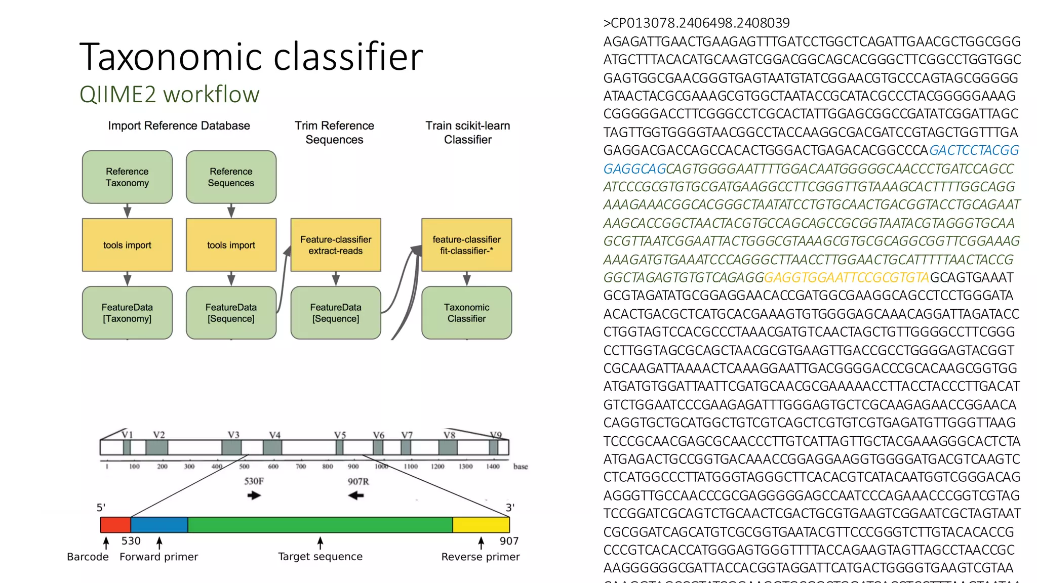 Metabarcoding QIIME2 workshop - Classification | PDF