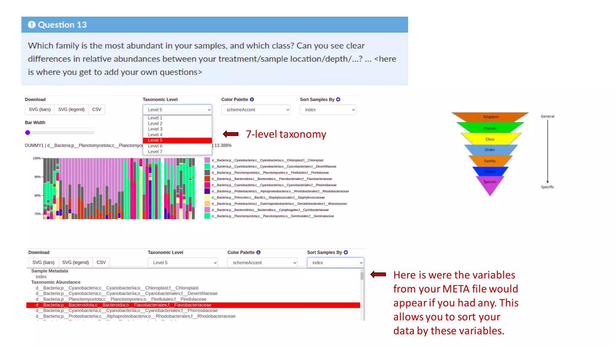 Metabarcoding QIIME2 workshop - Classification answers | PPT