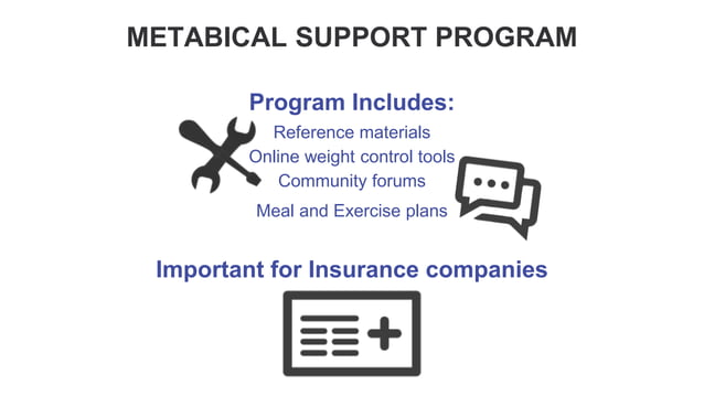 Metabical | PPTX | Business | Business and Finance