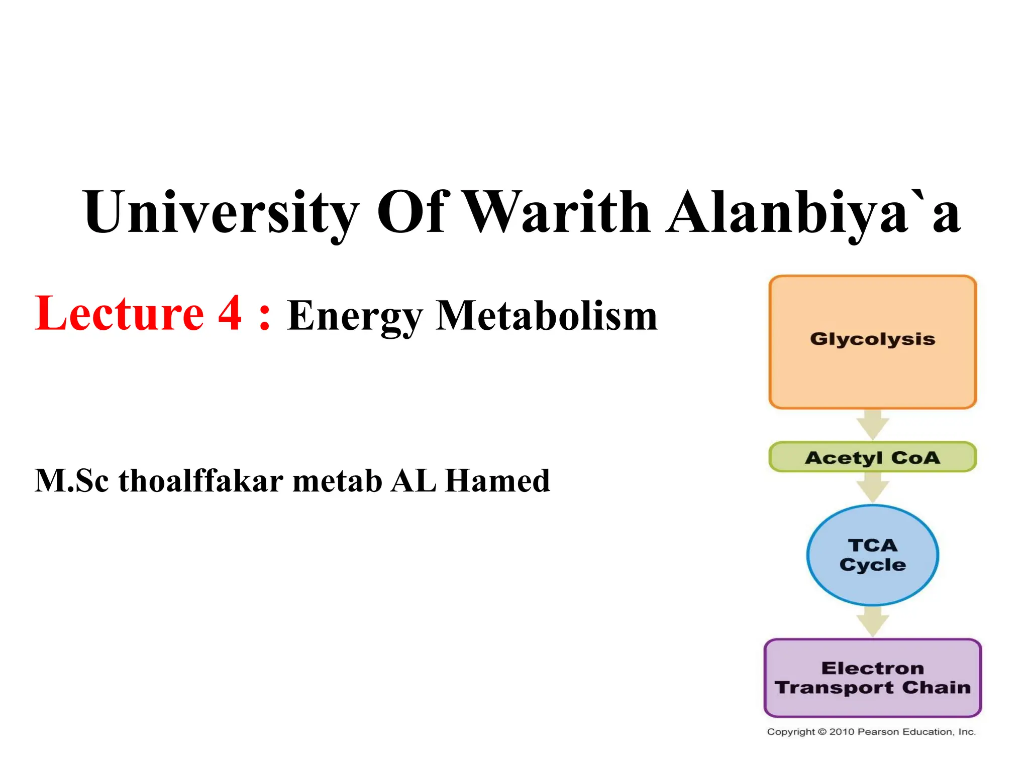 METABIOLISM enygy 4_862710a7c2c20fb58a6fc23bdbfe0ada.pdf