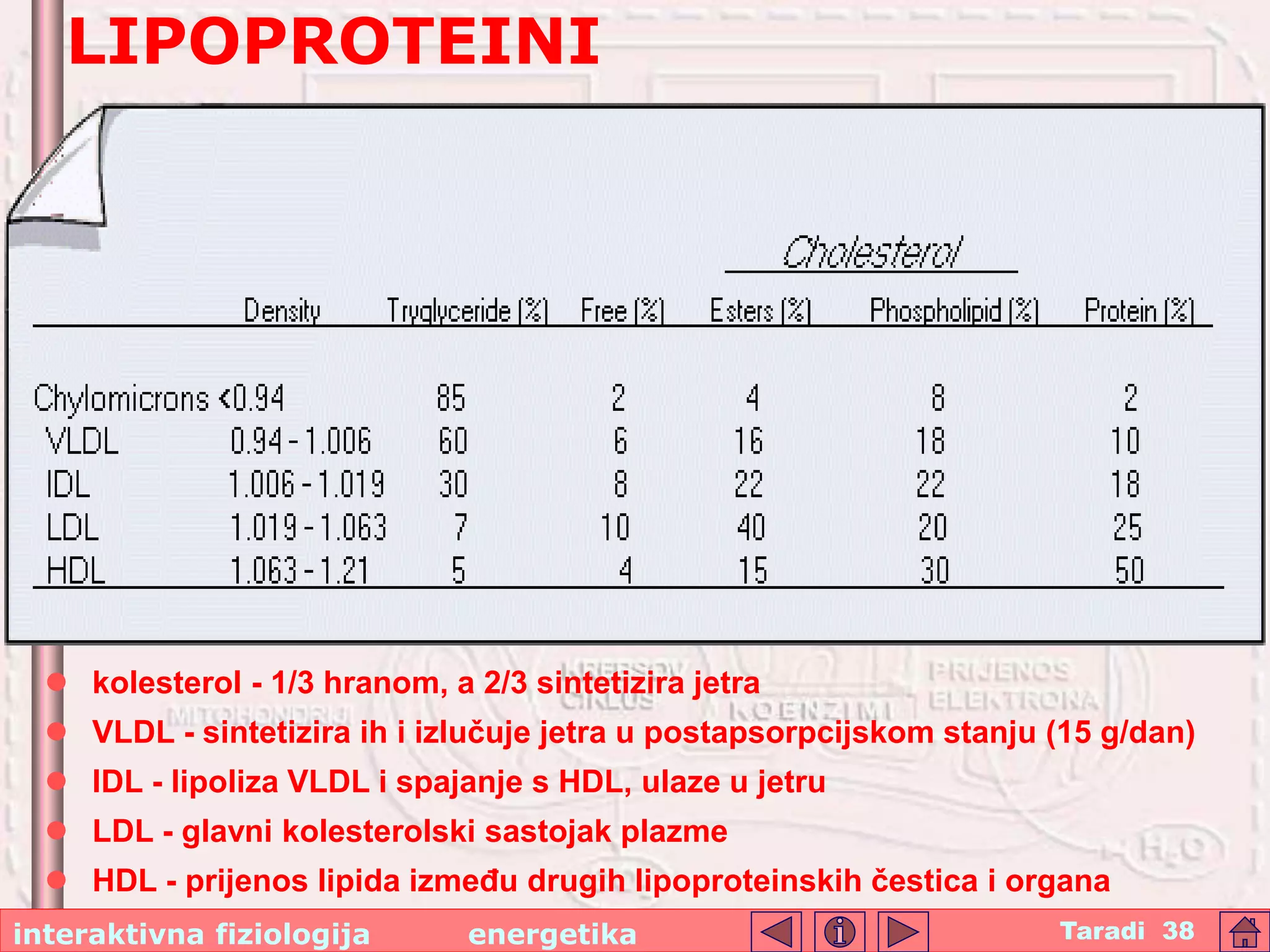Energetika i intenzitet metabolizma | PPT