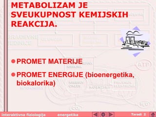 Energetika i intenzitet metabolizma | PPT