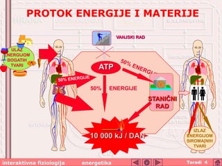 Energetika i intenzitet metabolizma | PPT