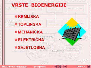 Energetika i intenzitet metabolizma | PPT