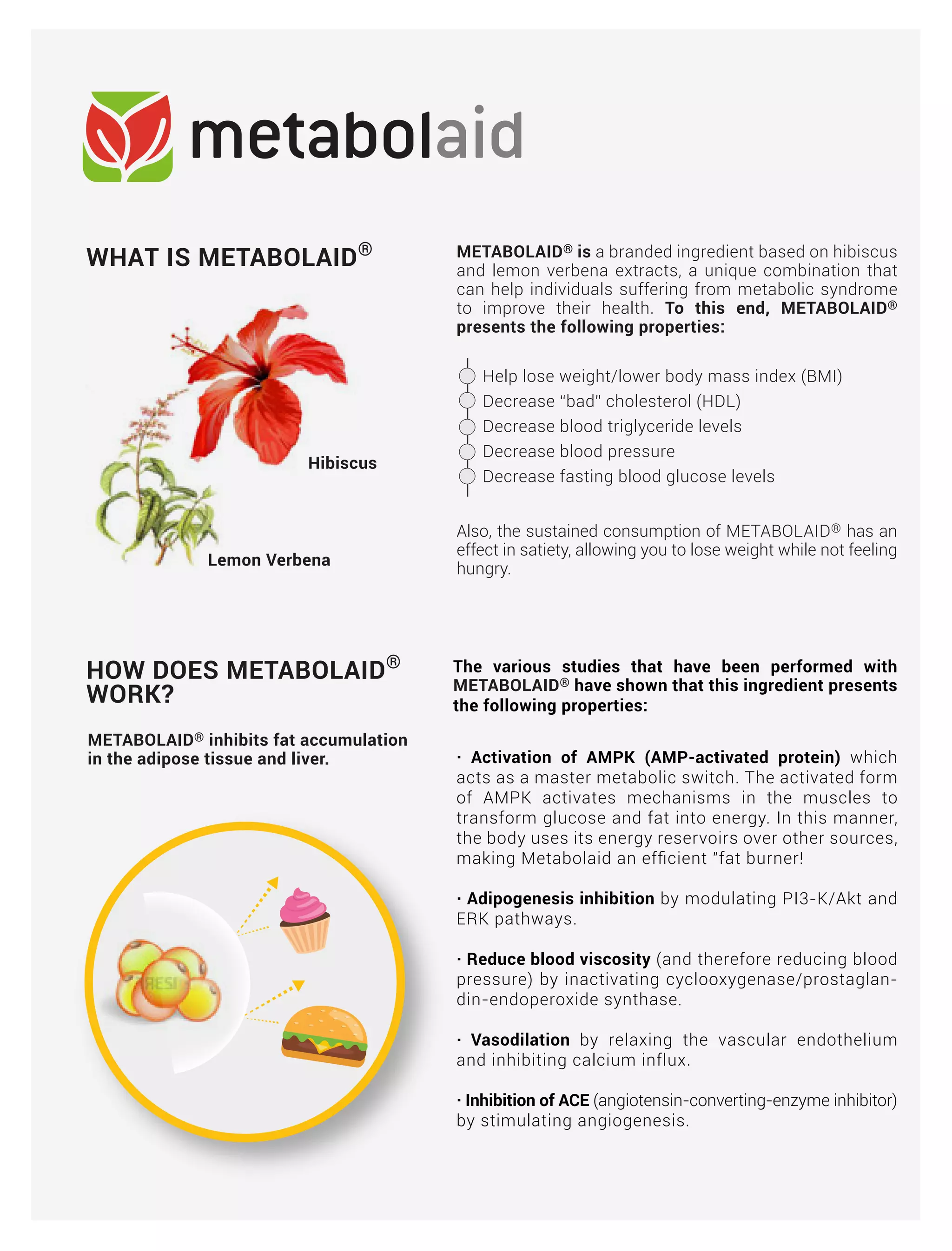 Metabolaid, H2020 SME Tool Granted Project | PDF