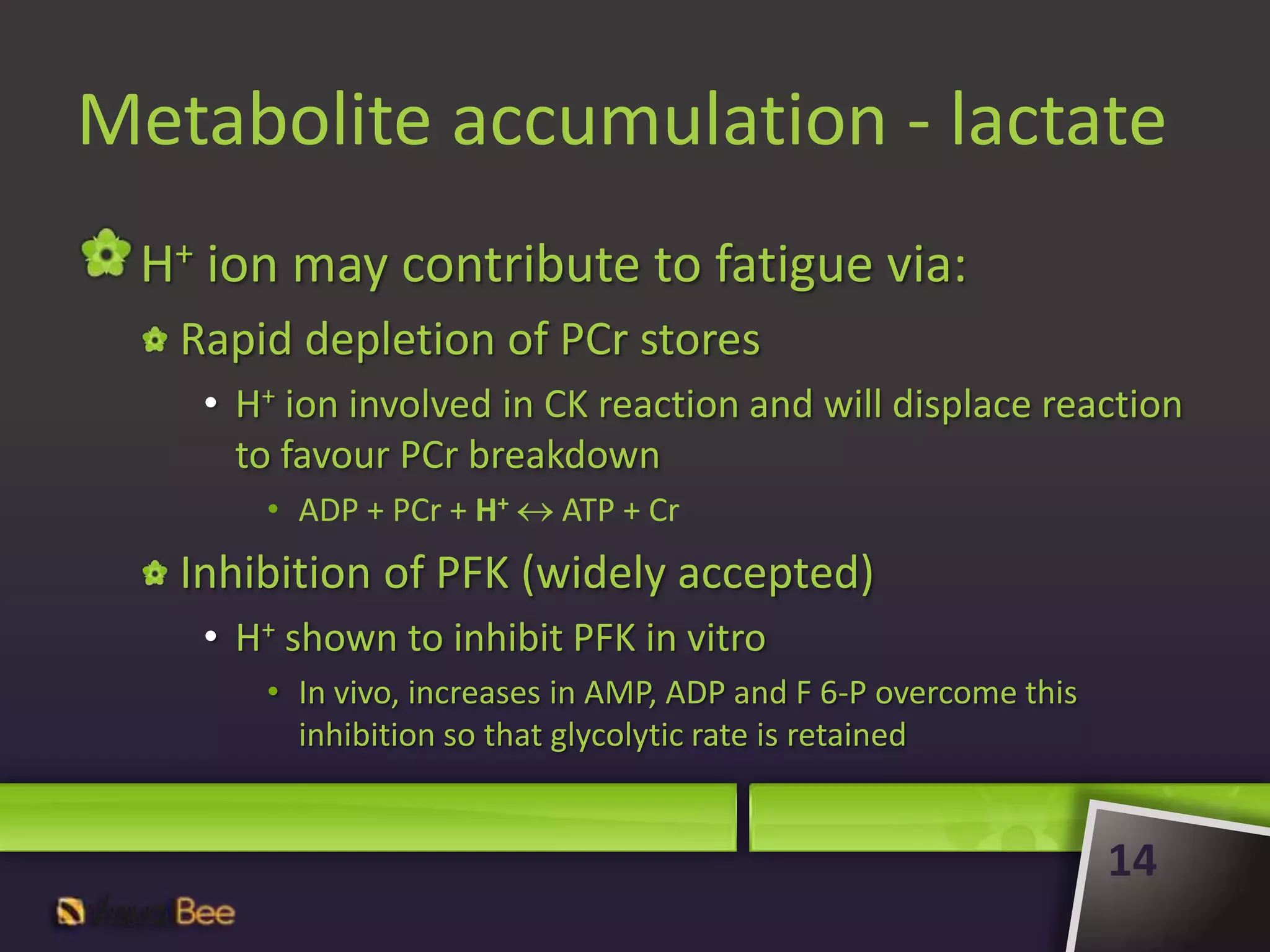 Metabolic basis of Muscular Fatigue | PPTX