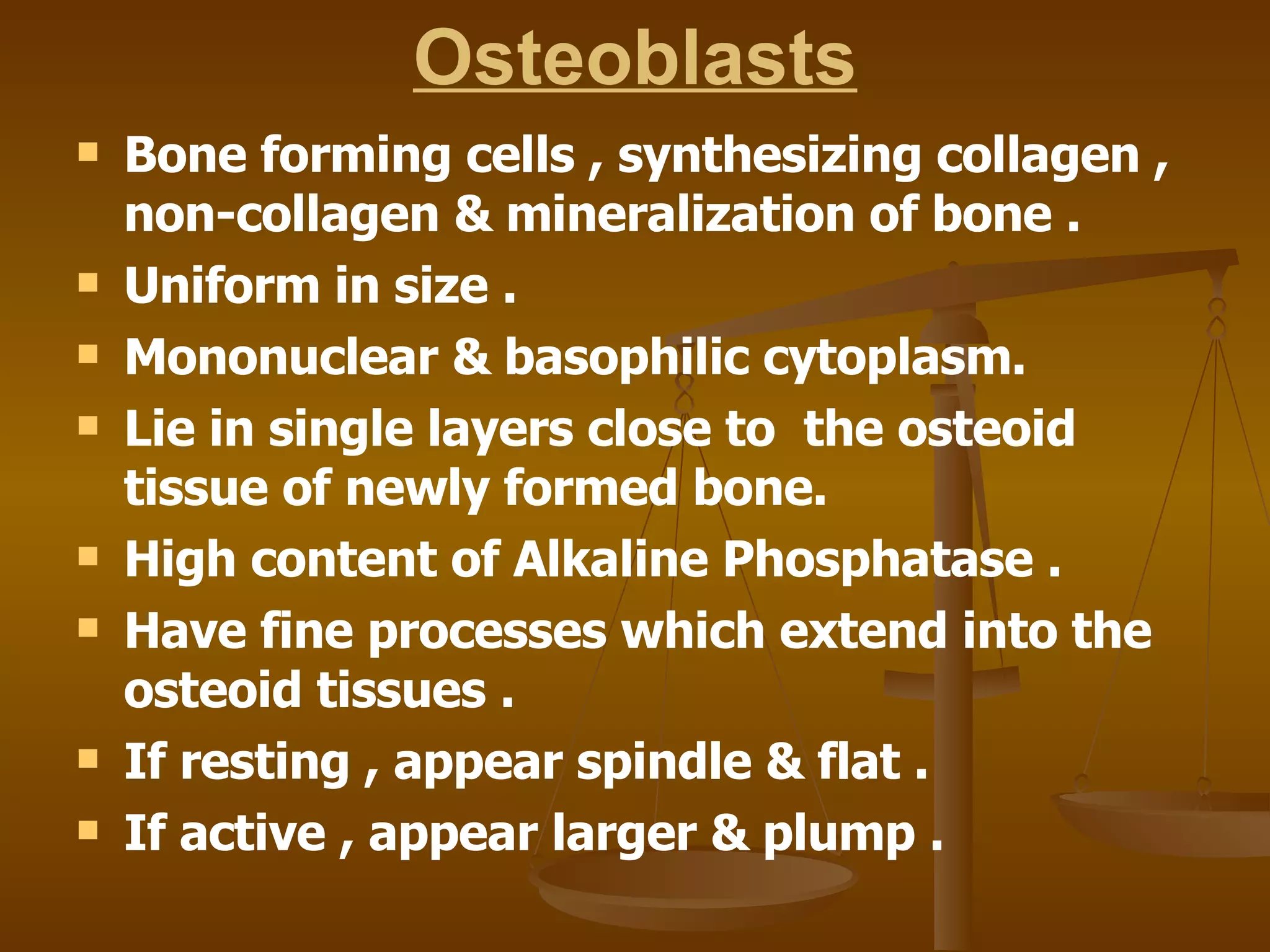 Metabolic Bone Diseases | PPT