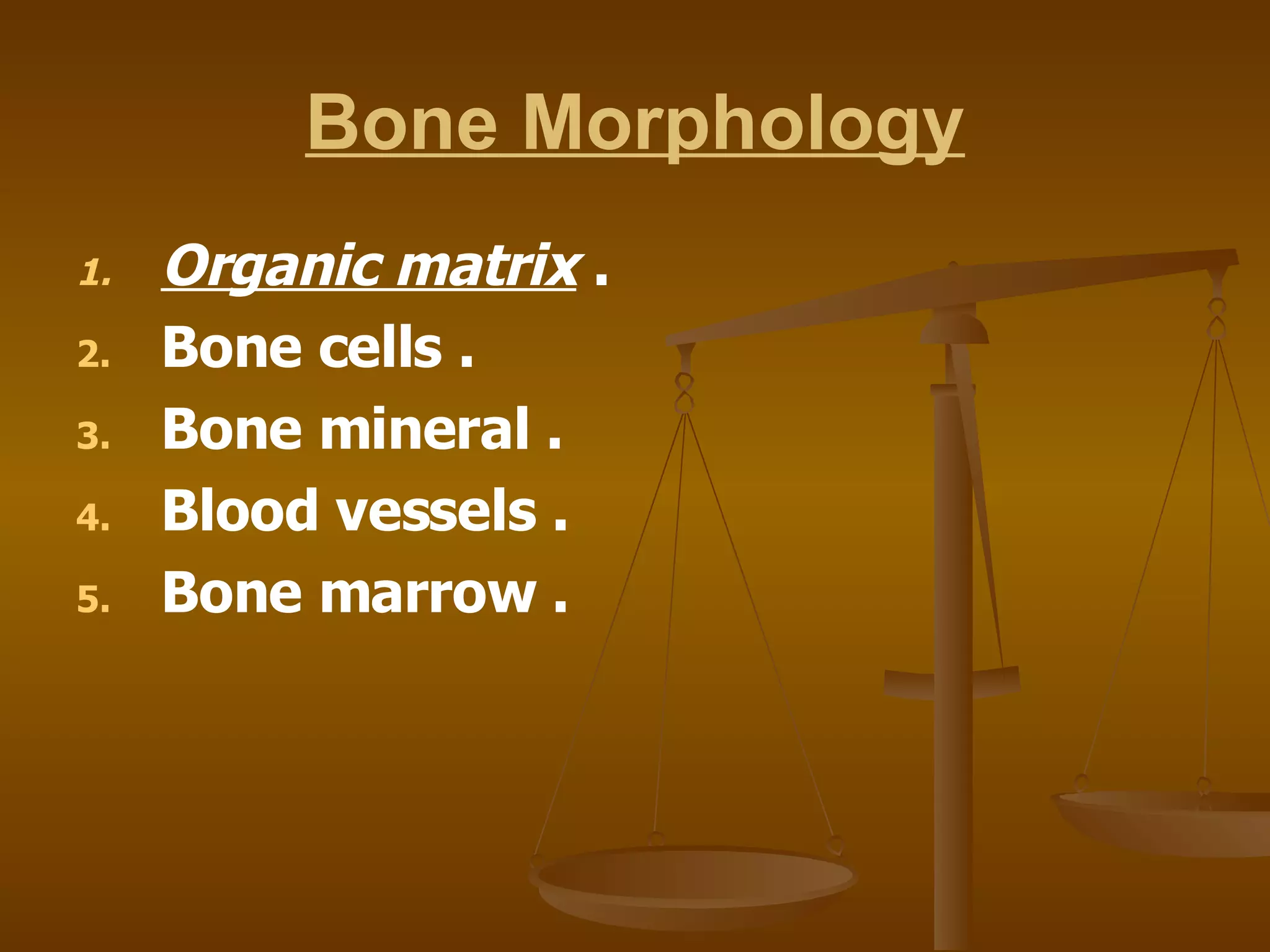 Metabolic Bone Diseases | PPT