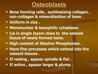Metabolic Bone Diseases | PPT