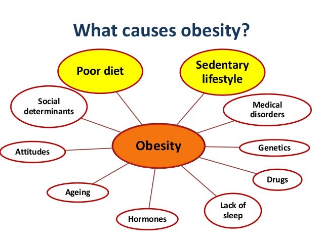 Metabolic Syndrome and Obesity