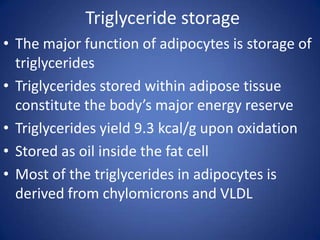 Metabolic abnormalities in obesity | PPTX