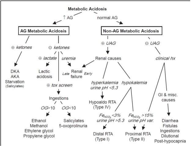 Metabolic Acidosis