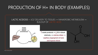 Metabolic Acidosis | PPTX