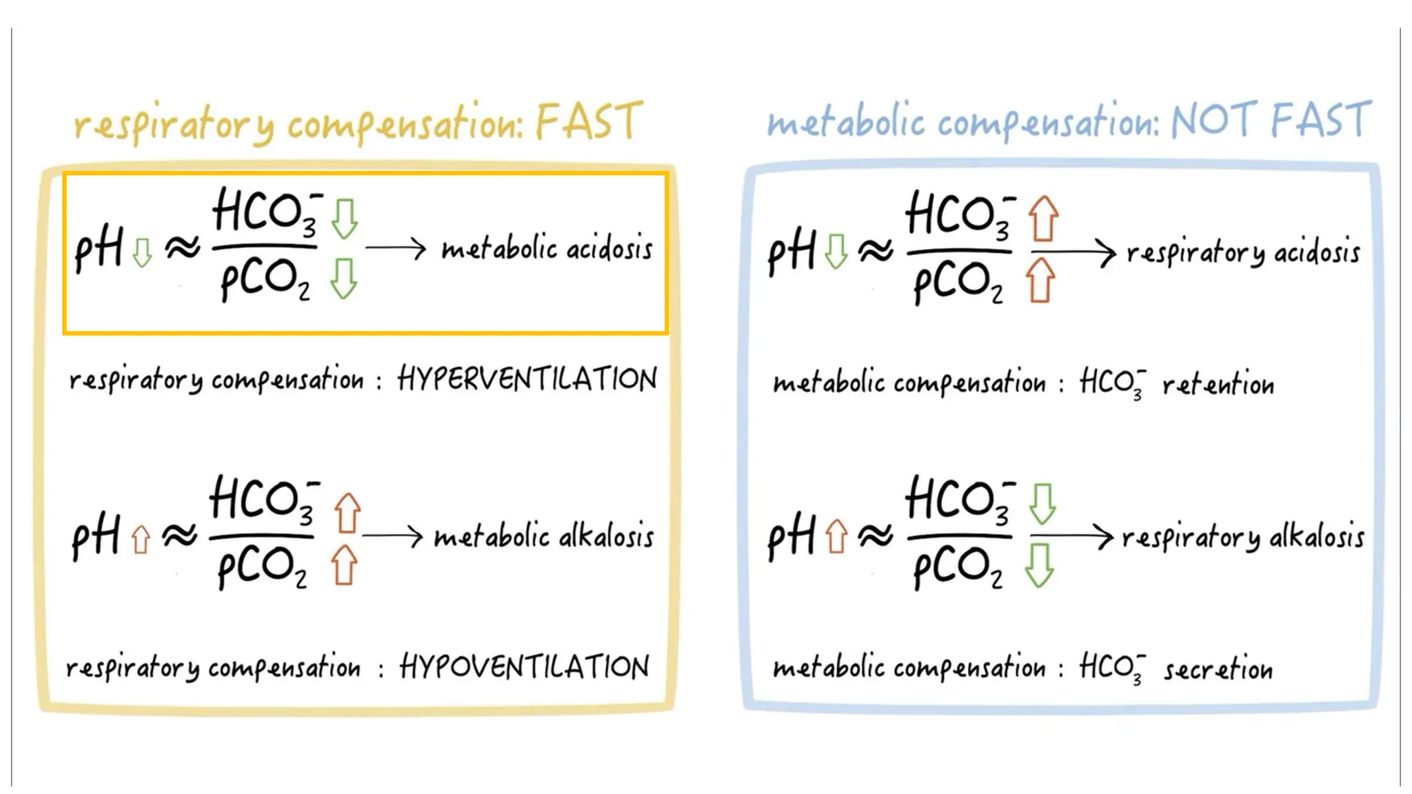 Metabolic Acidosis and the Anion Gap .pptx