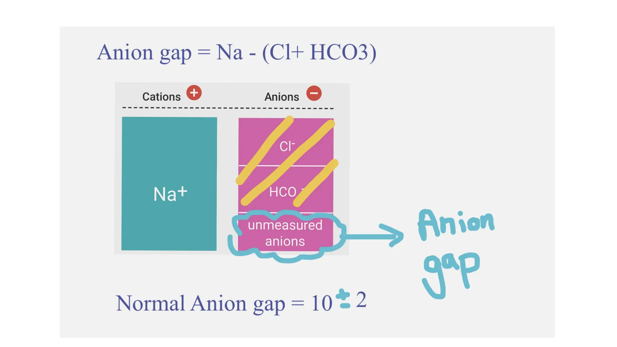 Metabolic Acidosis and the Anion Gap .pptx