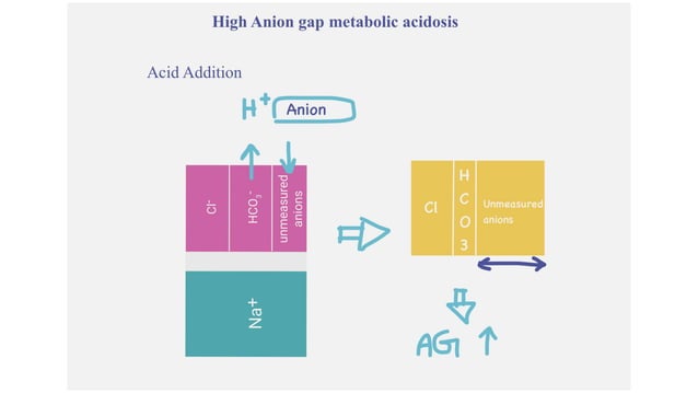 Metabolic Acidosis and the Anion Gap .pptx | Endocrine and Metabolic ...