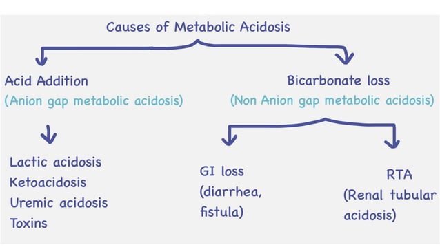 Metabolic Acidosis and the Anion Gap .pptx | Endocrine and Metabolic ...