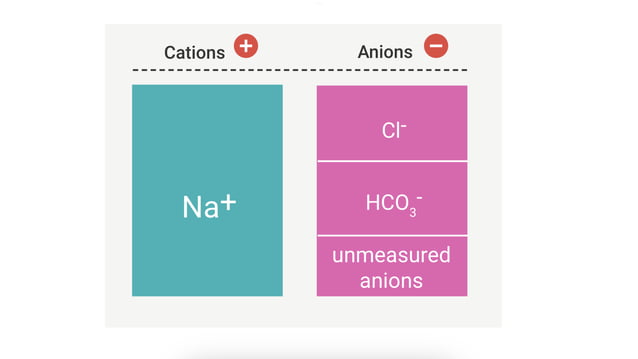 Metabolic Acidosis and the Anion Gap .pptx | Endocrine and Metabolic ...