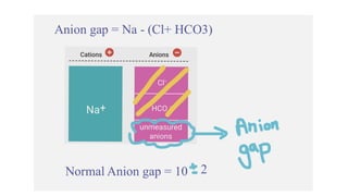 Metabolic Acidosis and the Anion Gap .pptx