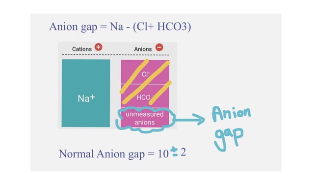 Metabolic Acidosis and the Anion Gap .pptx | Endocrine and Metabolic ...