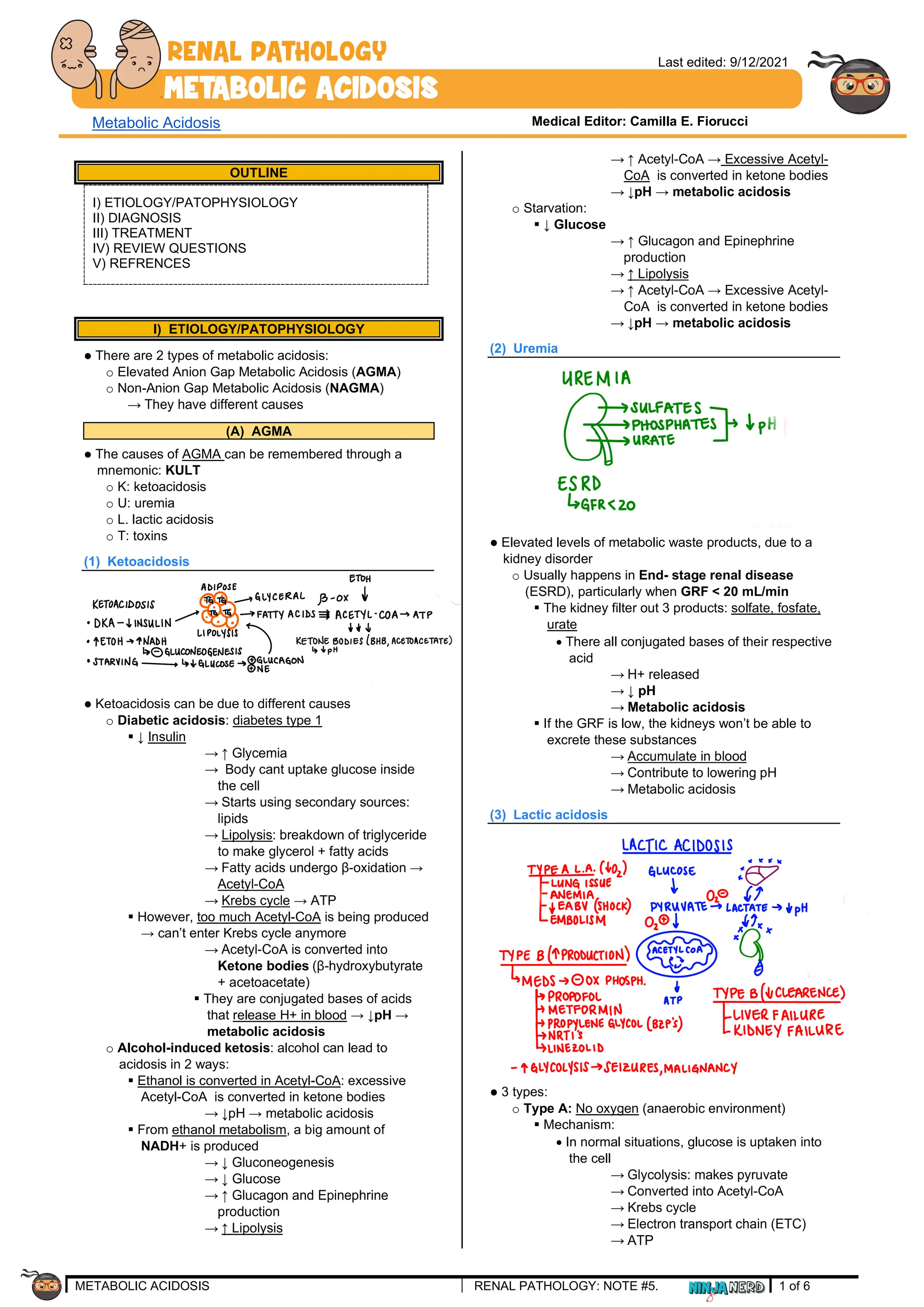 Metabolic Acidosis. pa,oakw,llwla,wwwwqw | PDF