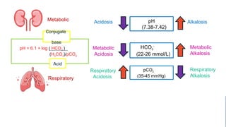 Metabolic acidosis and alkalosis ppt.pptx