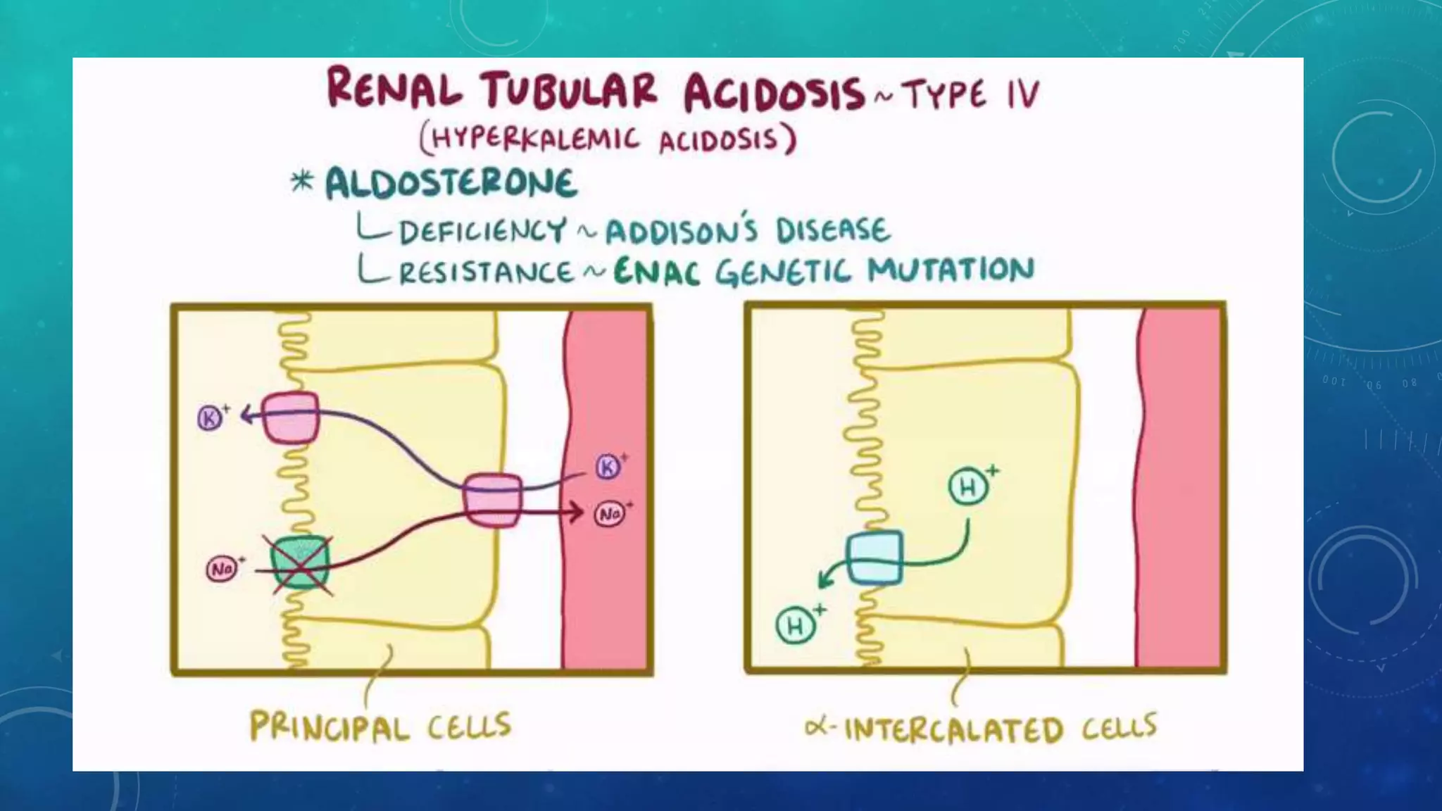 Metabolic acidosis ppt (types and pathophysiology) | PPTX