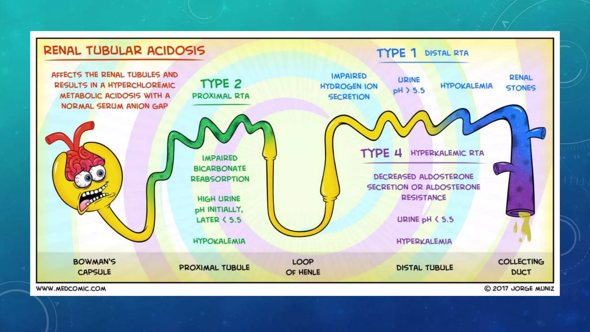 Metabolic acidosis ppt (types and pathophysiology) | PPTX