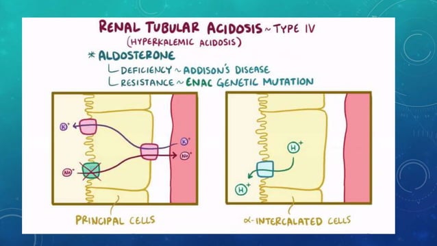 Metabolic acidosis ppt (types and pathophysiology) | PPTX