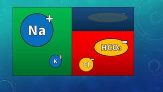 Metabolic acidosis ppt (types and pathophysiology) | PPTX