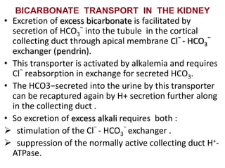 Metabolic alkalosis Dr. Mohamed Abdelhafez | PPTX