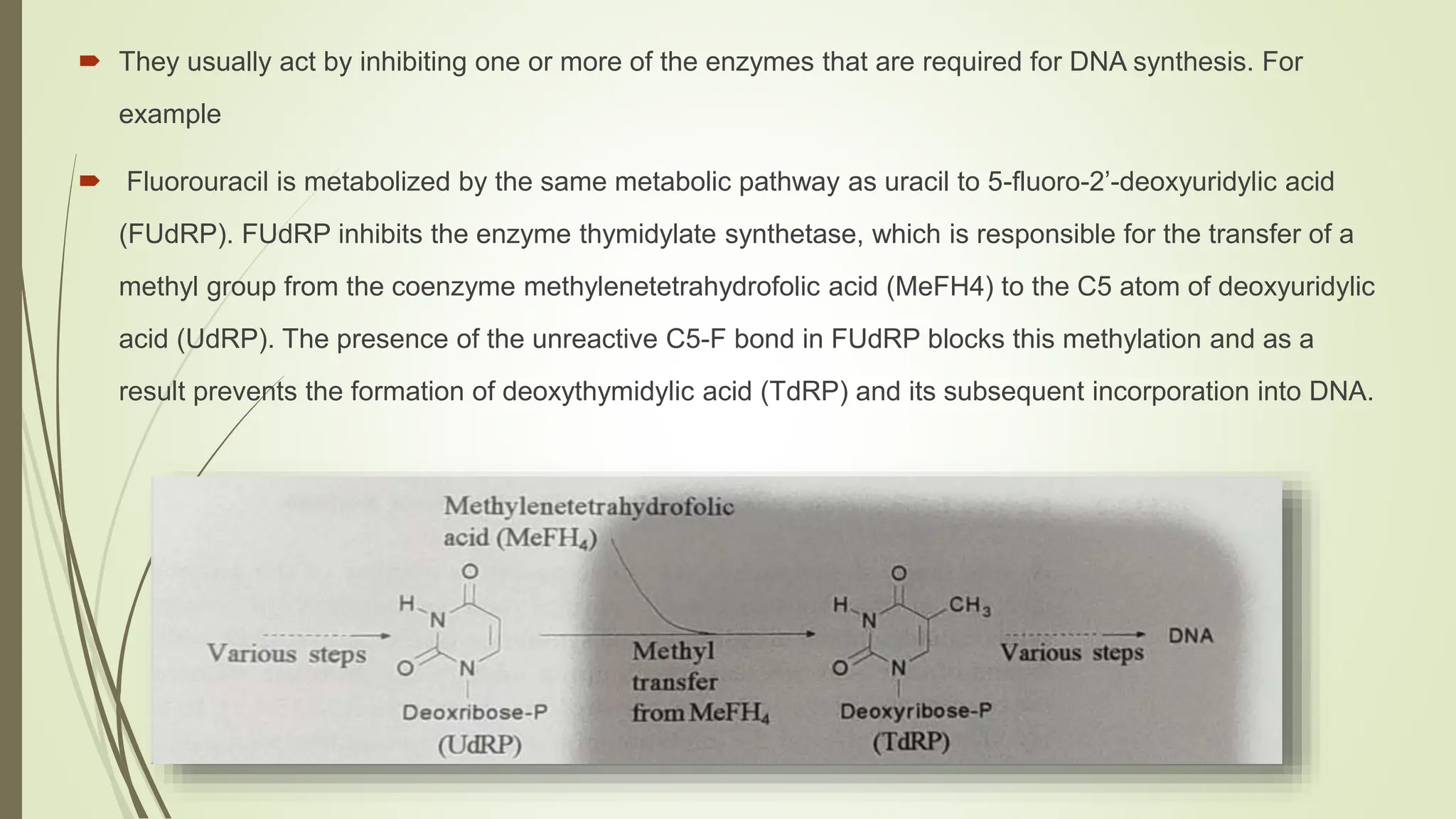 Understanding metabolic antagonism ppt.pptx