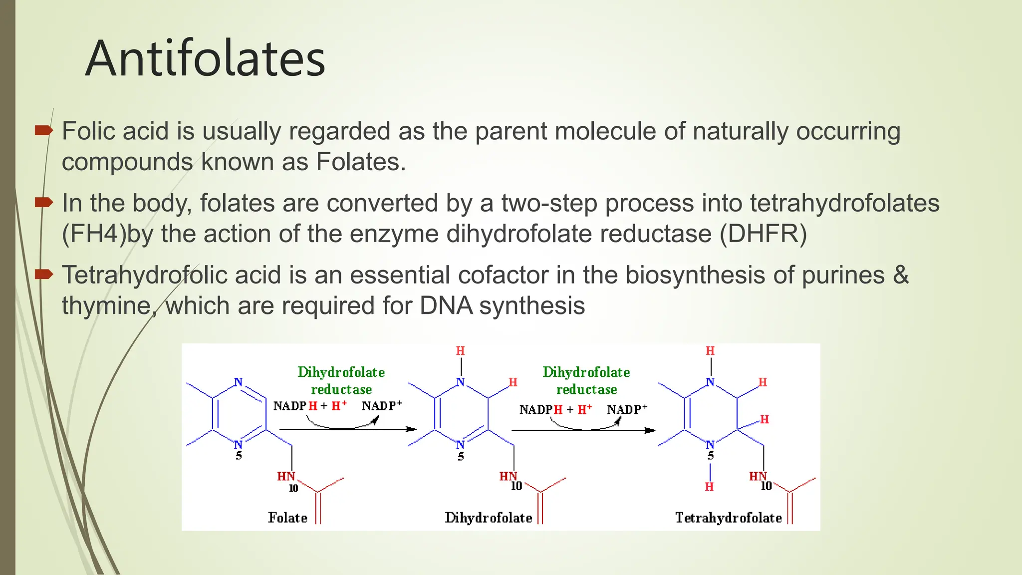 Understanding metabolic antagonism ppt.pptx