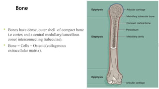metabolic bone diseases and their histology | PPTX