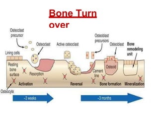metabolicbonedisease-150401111940-conversion-gate01-converted.pptx