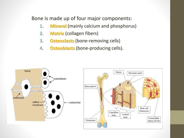 Metabolic bone disease.pptx