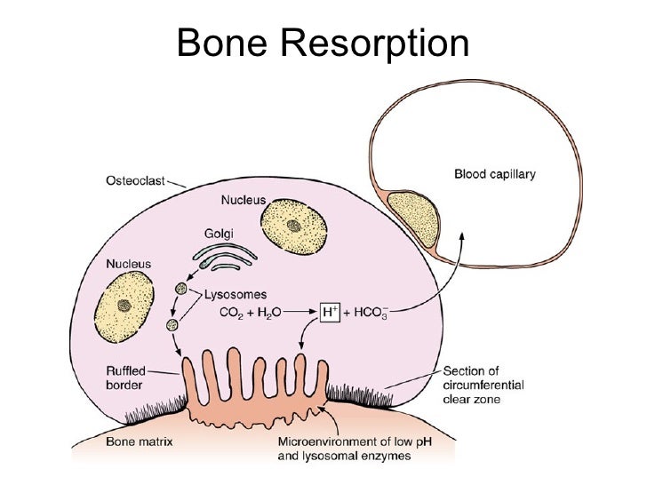 Metabolic Bone Disease Molecular Biology