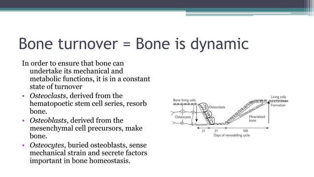 Metabolic bone diseases for students | PPTX