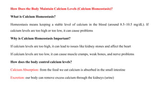 Metabolic Bone Diseases(Calcium balance, biological function of calcium ...