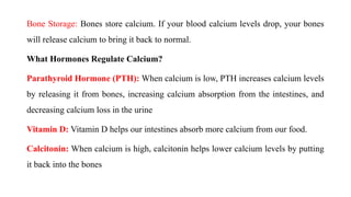 Metabolic Bone Diseases(Calcium balance, biological function of calcium ...