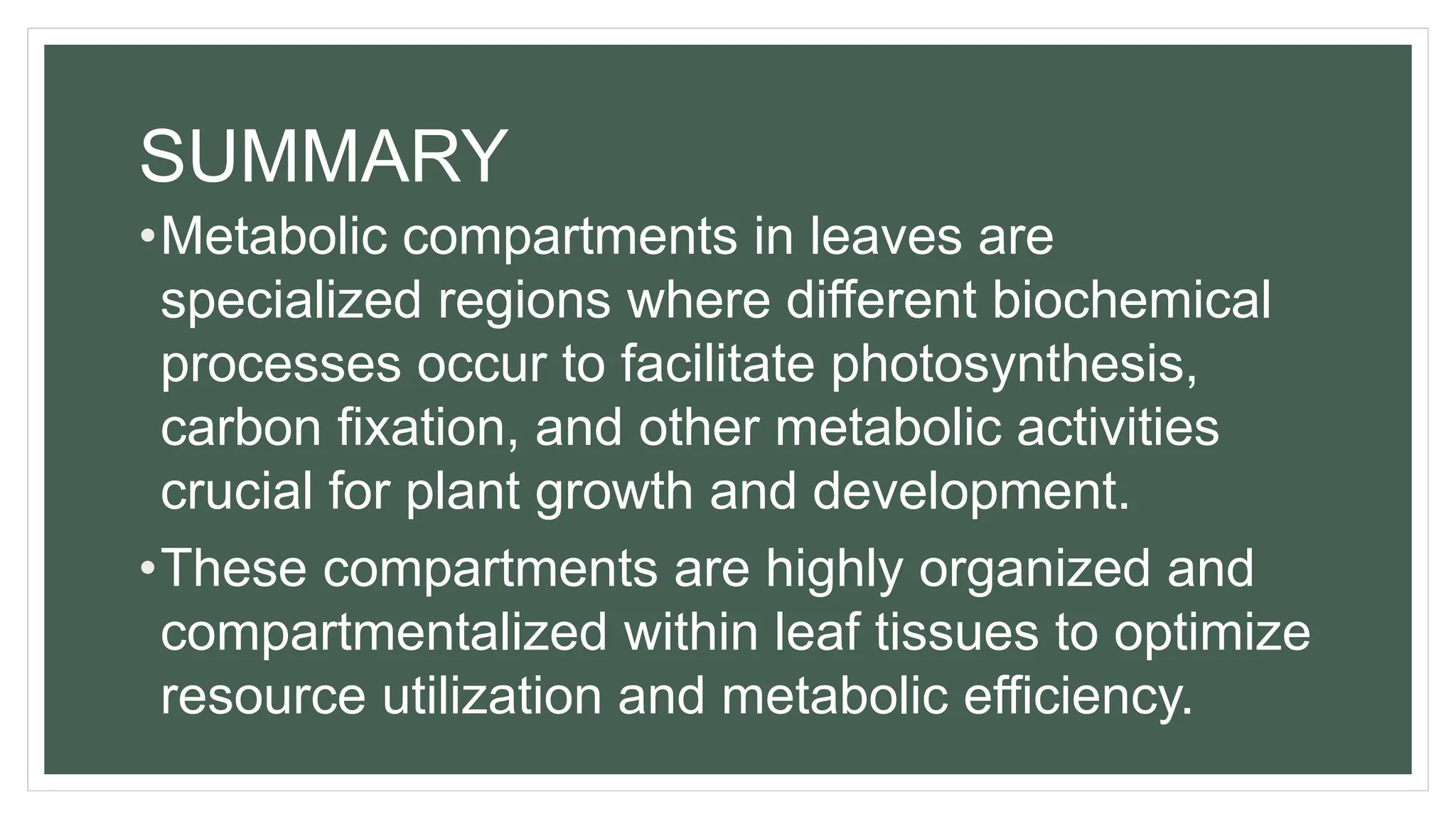 Metabolic Compartments In The Leaf.pptx_ | PPTX