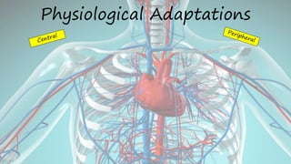 Metabolic conditioning CPD | PPTX