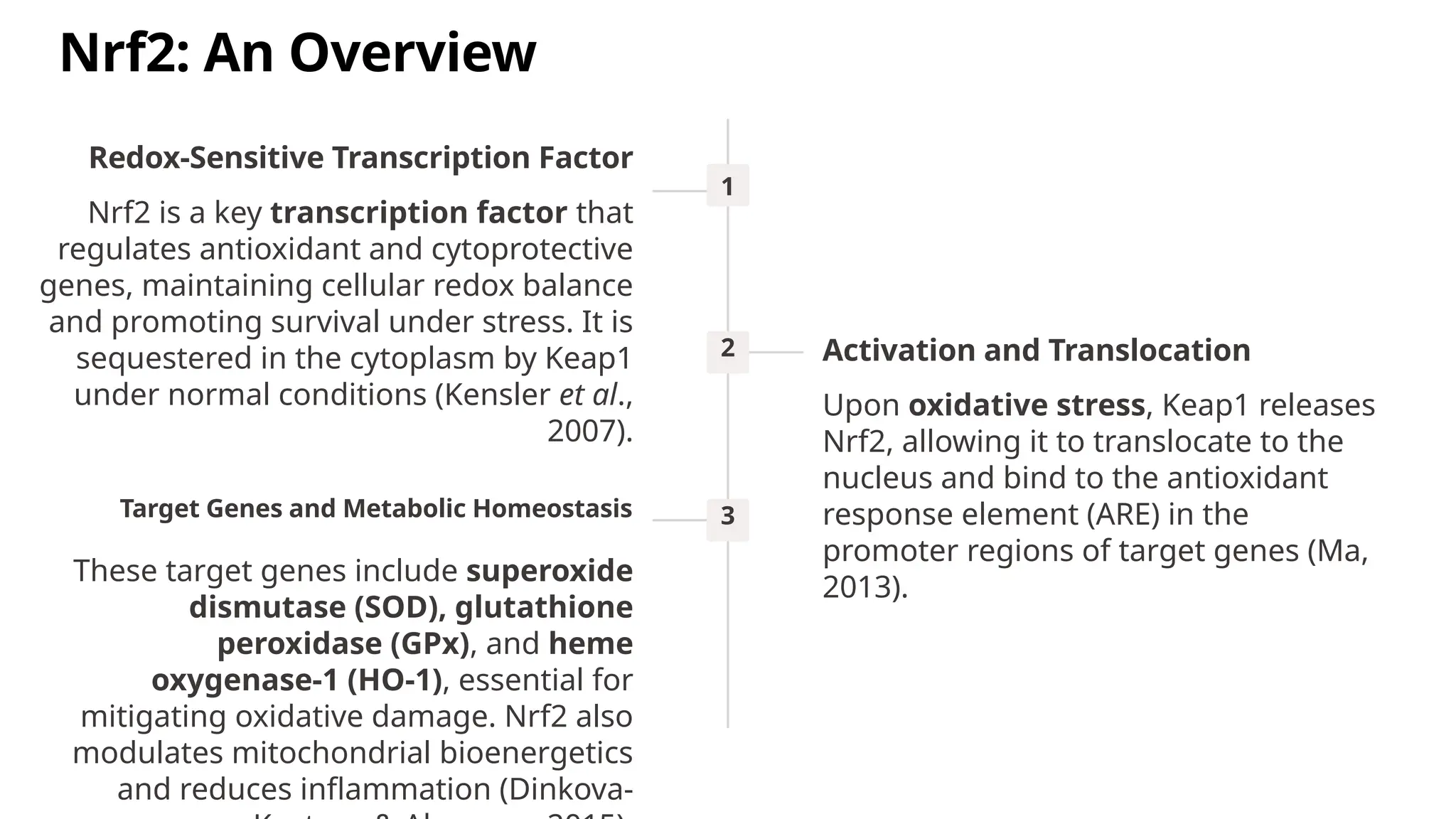 METABOLIC CONSEQUENCES OF CHRONIC HYPERGLYCEMIA - THE ROLE OF NRF2 IN ...