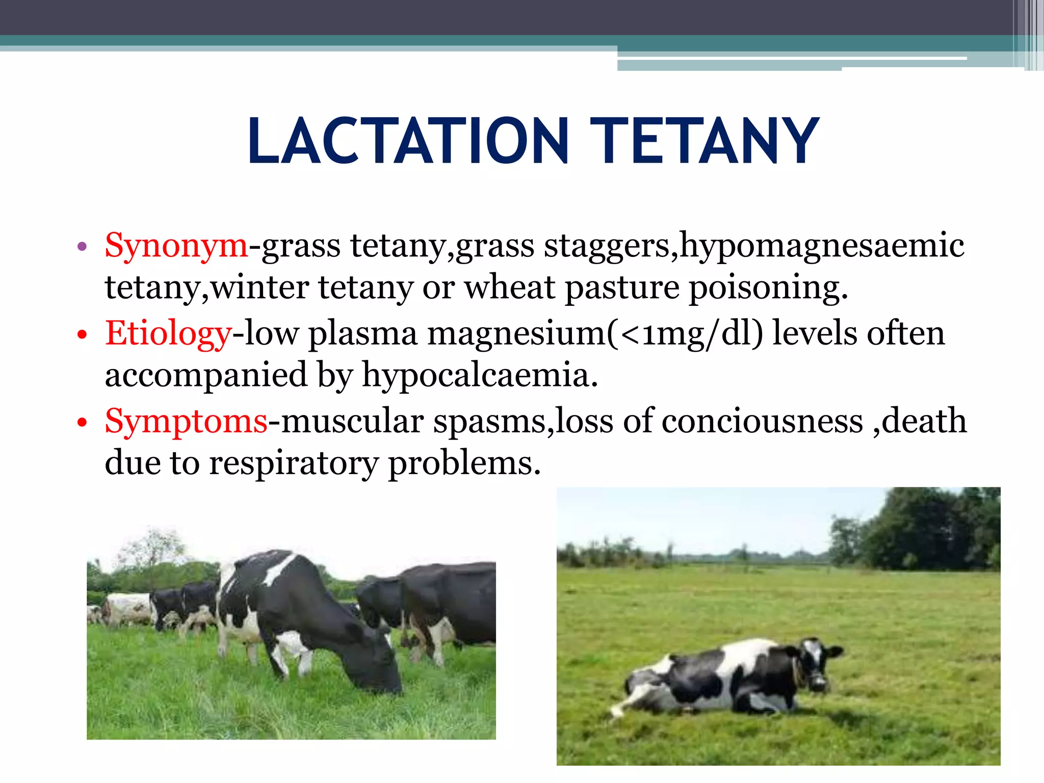 Metabolic disorders in Livestock | PPTX