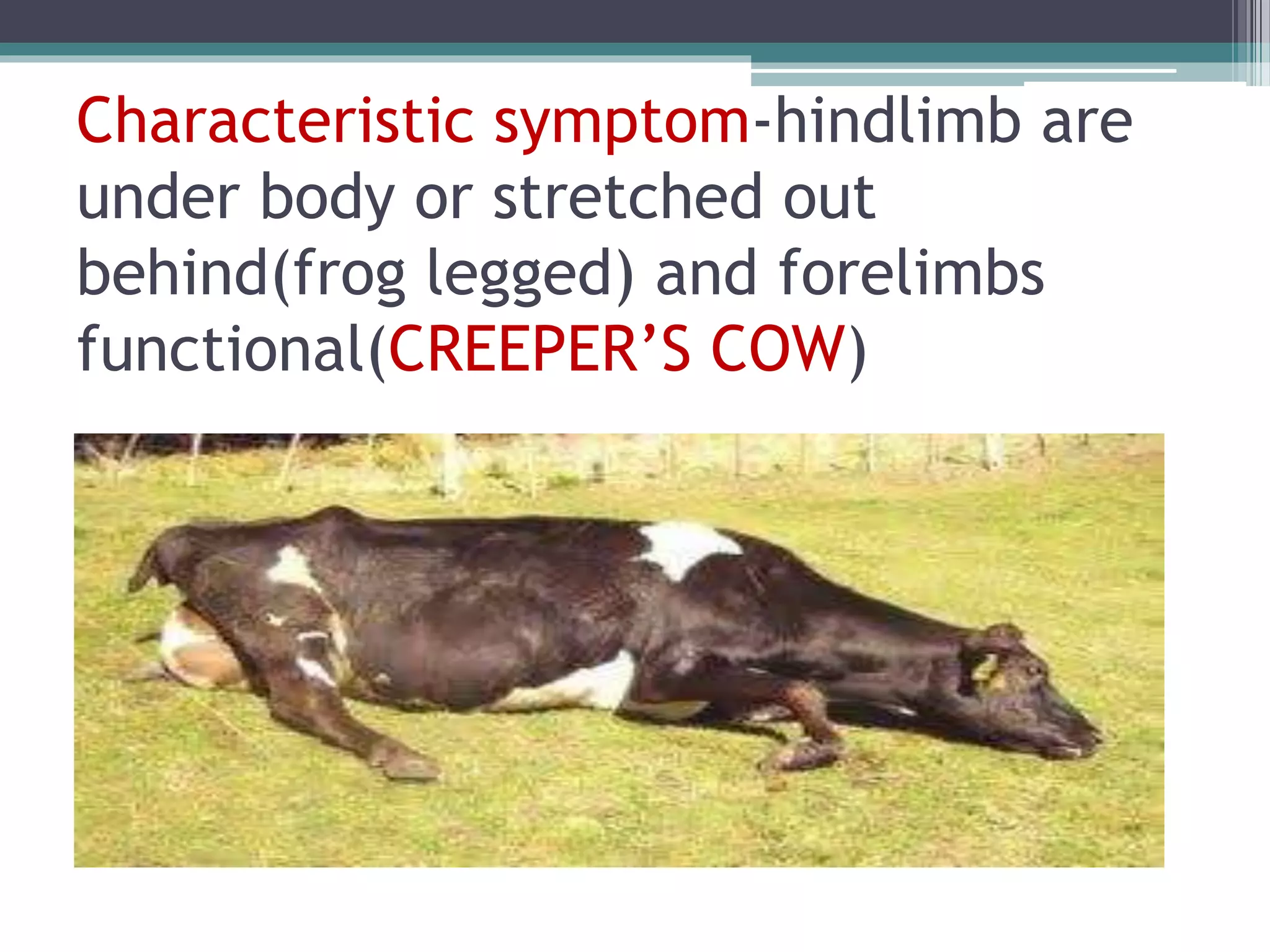 Metabolic disorders in Livestock | PPTX