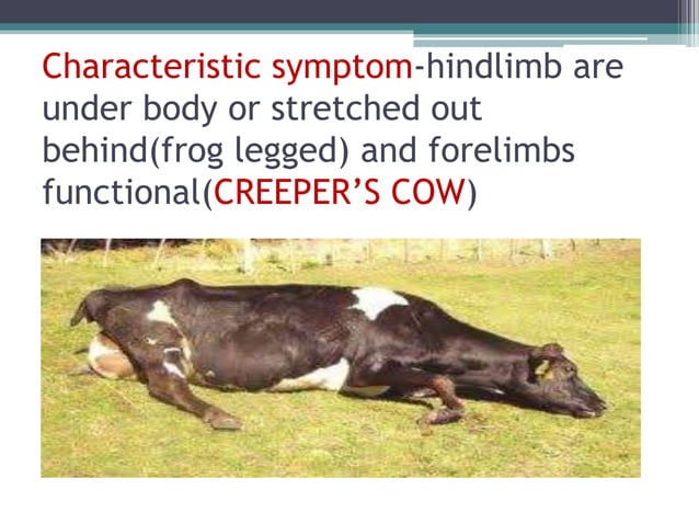 Metabolic disorders in Livestock | PPTX