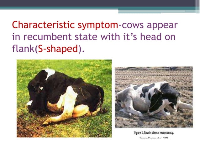 Metabolic disorders in Livestock | PPTX