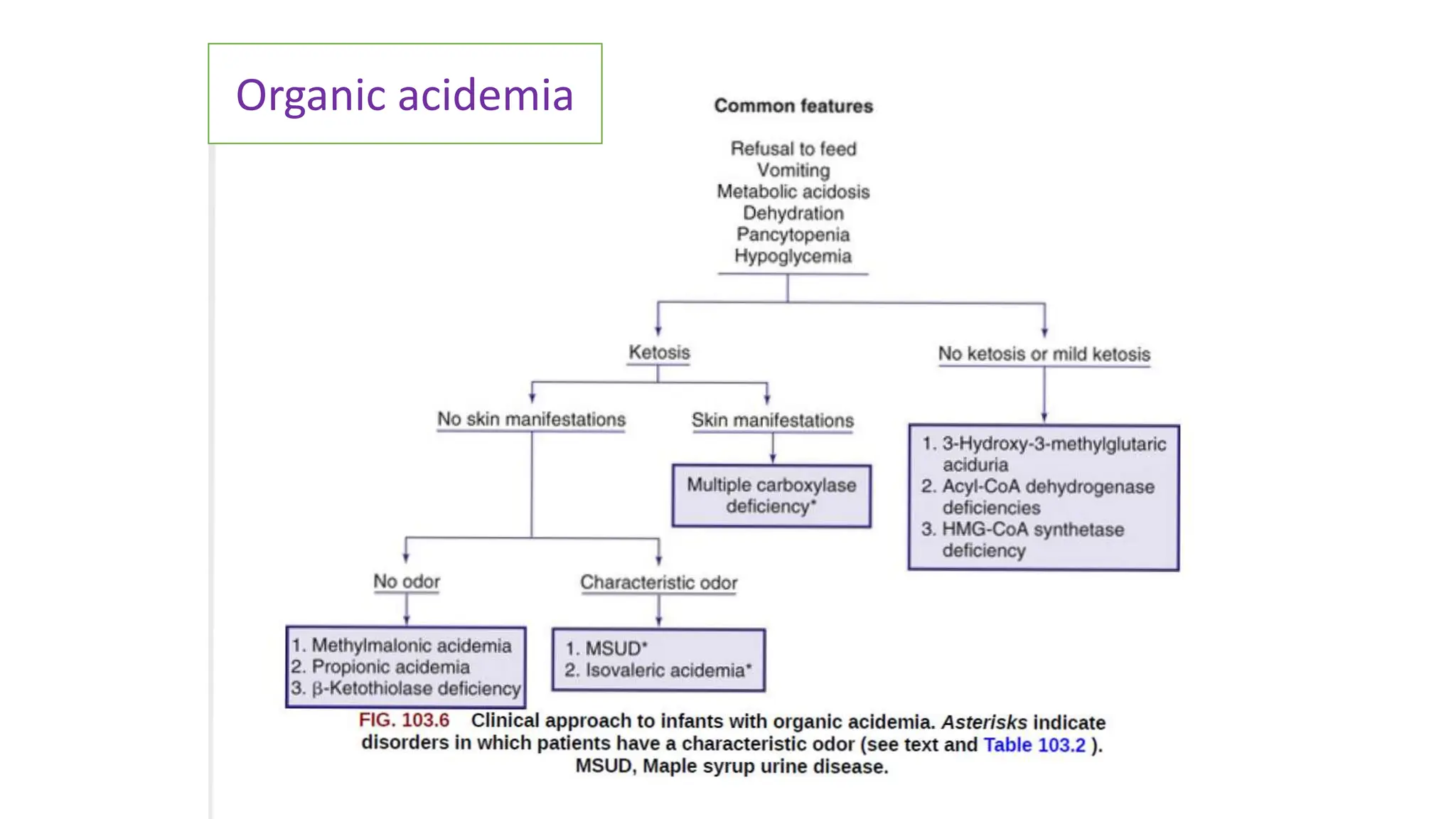 Approach to inborn errors of metabolism .pptx