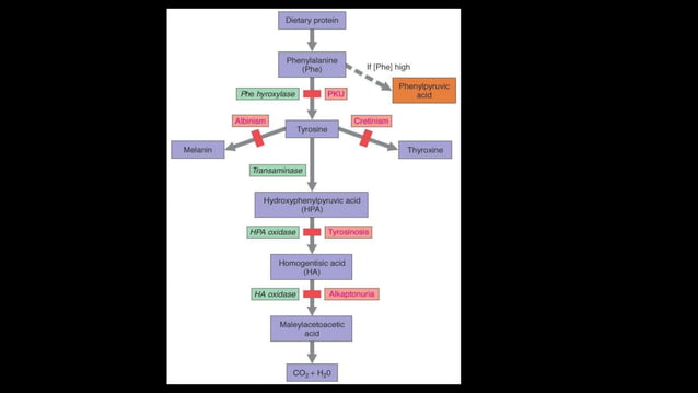 Approach to inborn errors of metabolism .pptx